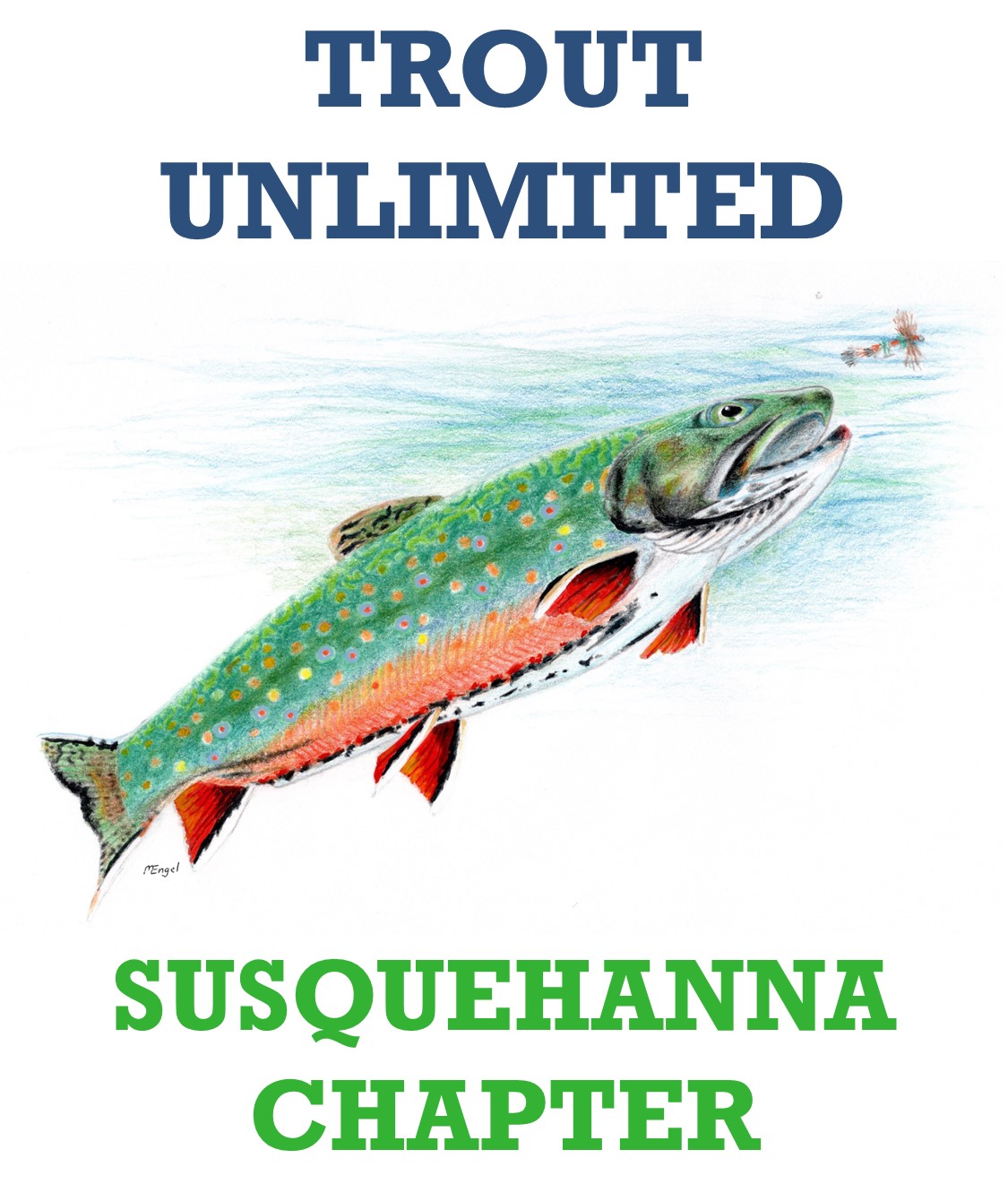 BEGINNERS FLY TYING COURSE OFFERED BY SUSQUEHANNA CHAPTER TROUT ...